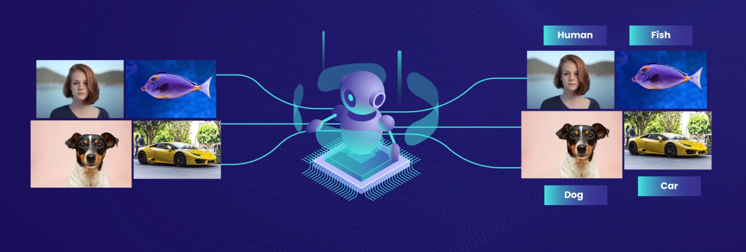 How to Use YOLOv11 for Image Classification - SO Development